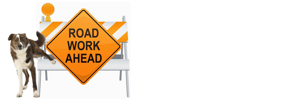 Dover Kennels, All Breed Dog Boarding, Andover, Minnesota